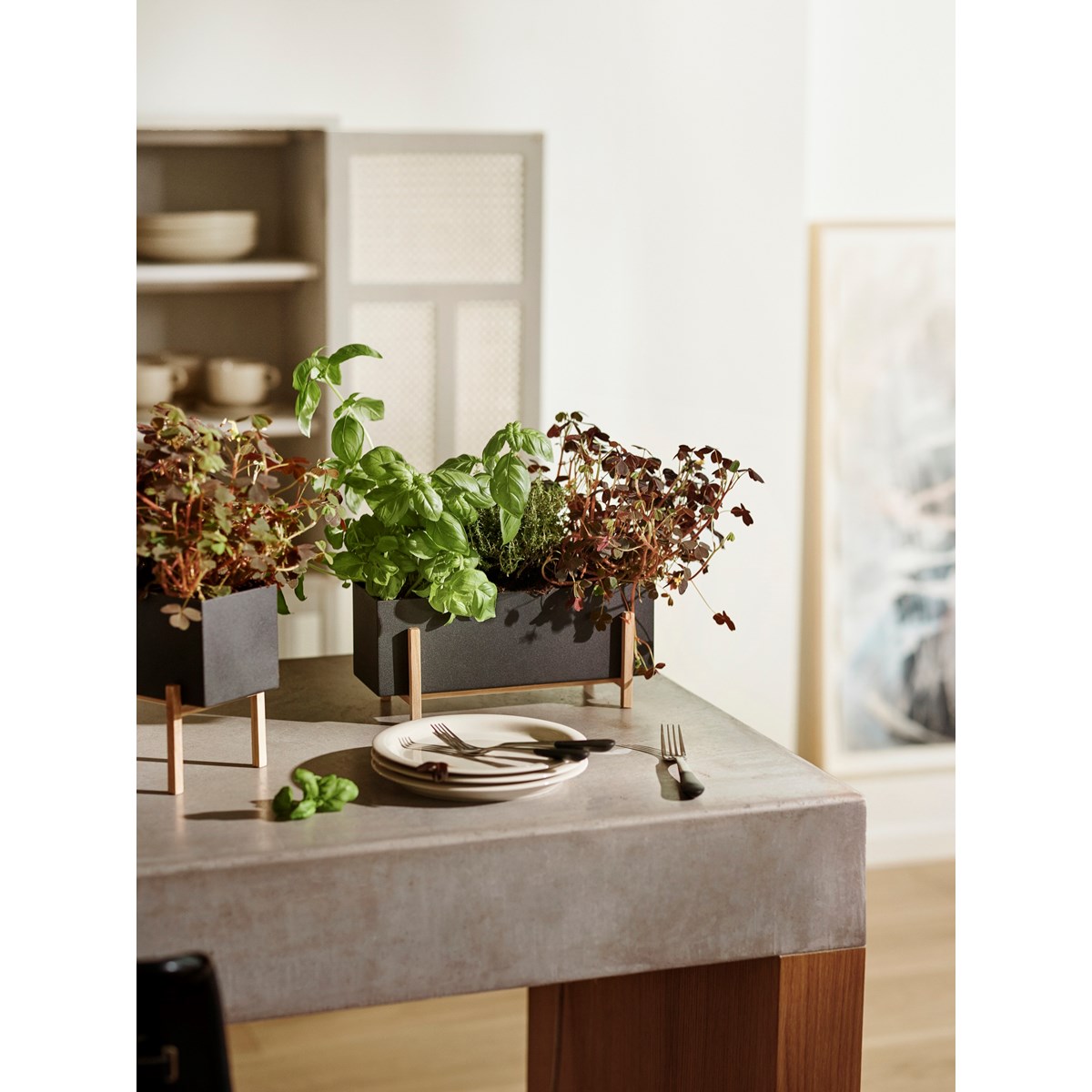 Design House Stockholm, Blomsterlåda Botanic Herb Box - Kitchnsverige.se